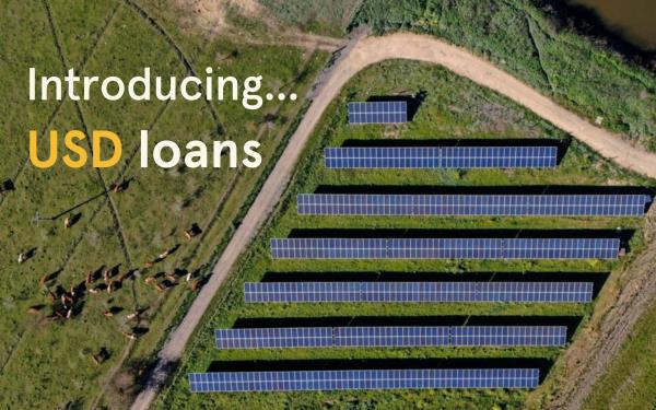 We are introducing USD loans! | Trine