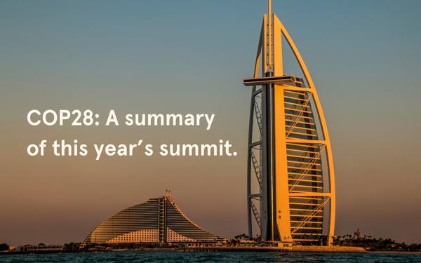 COP28 - A summary of this year’s summit | Trine